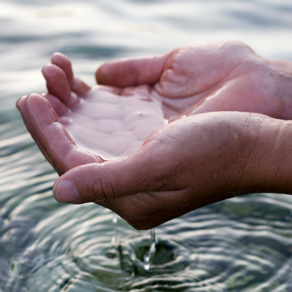 Give – Ministry International Inc.